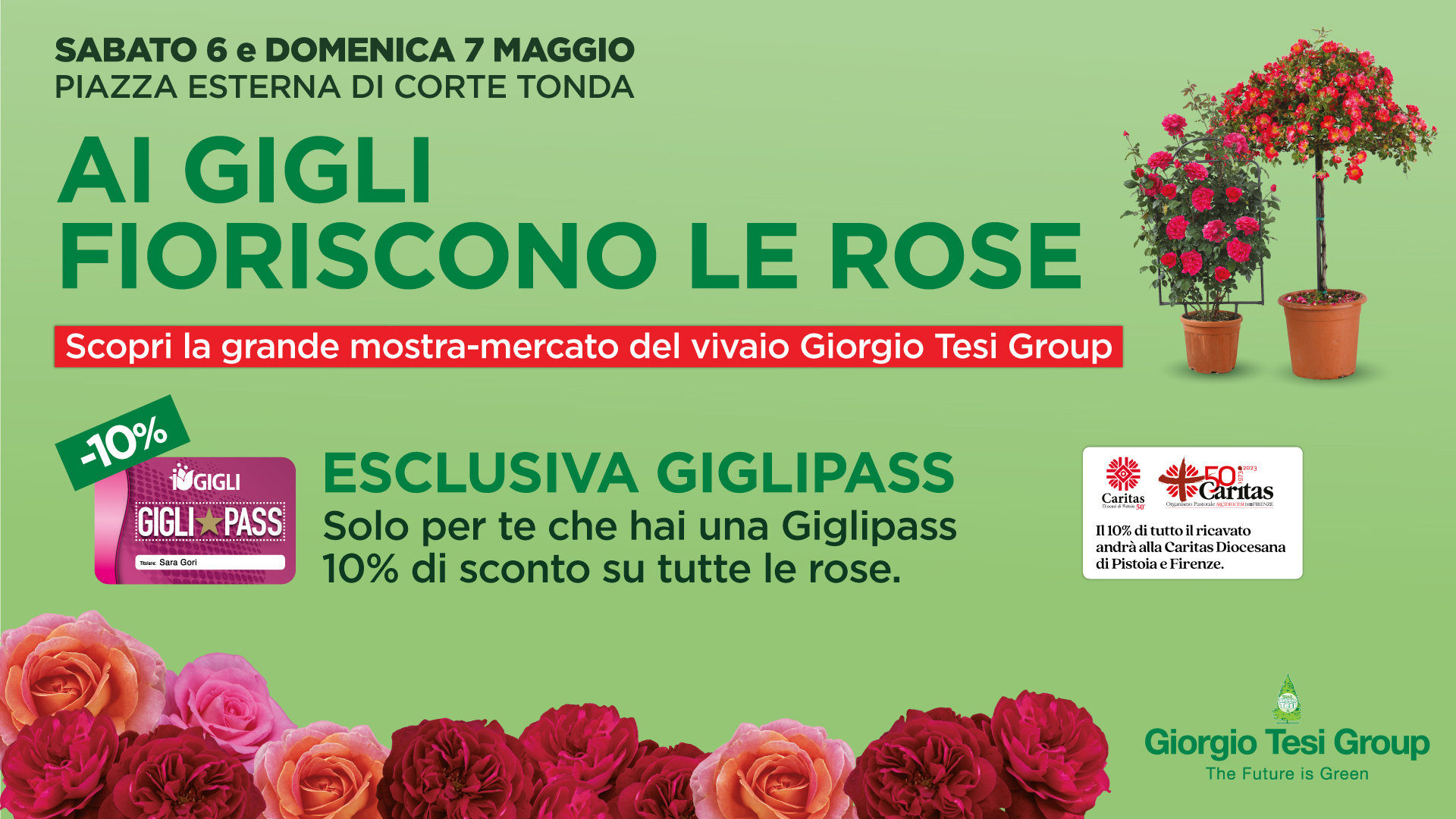 Centro Commerciale I Gigli